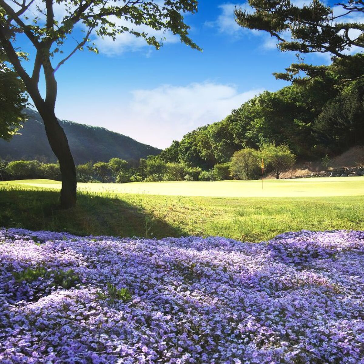 Curo Country Club - Rocky Hill Course in Gwangju-si, Gyeonggi-do, South ...