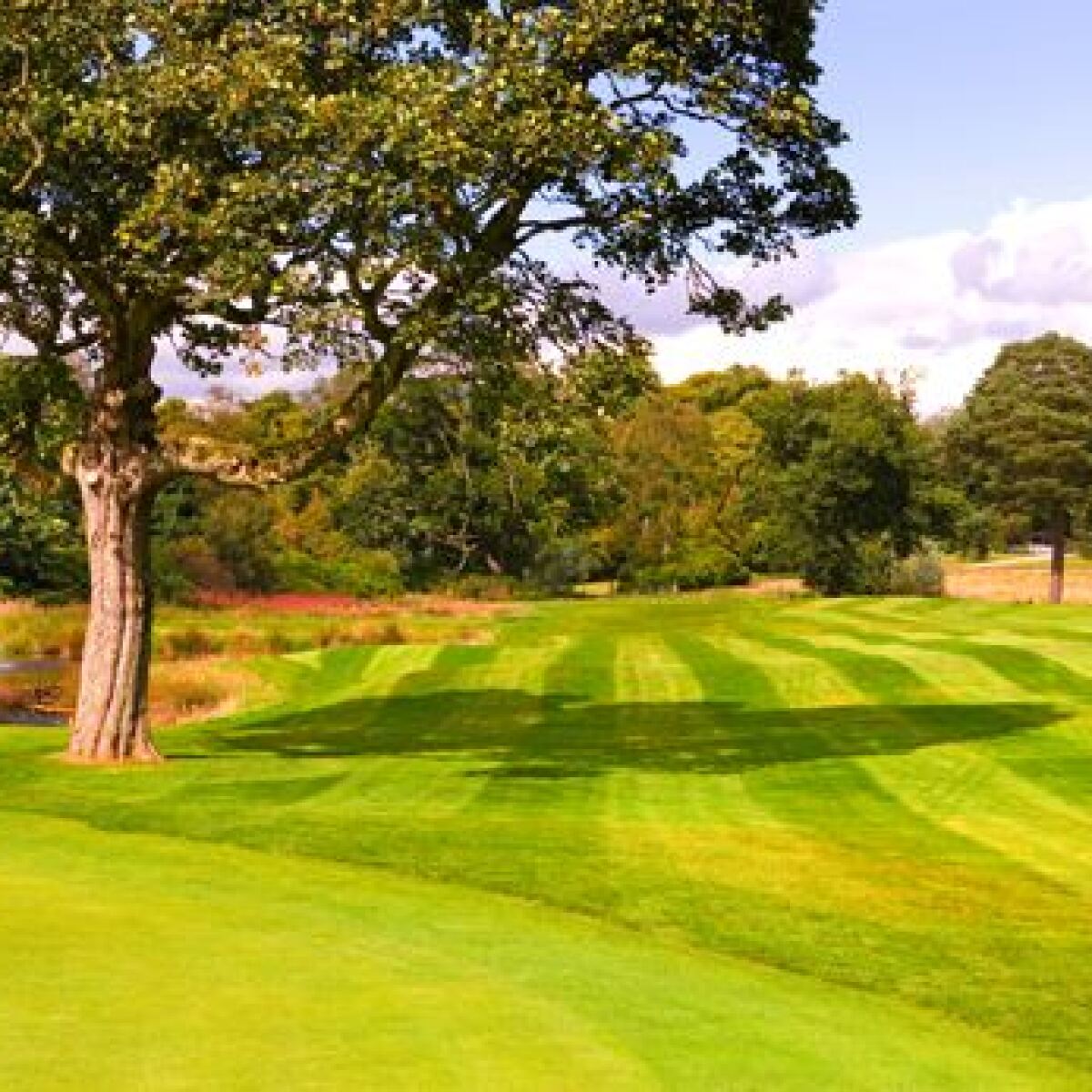Meldrum House Golf Club offers a pretty parkland experience in ...