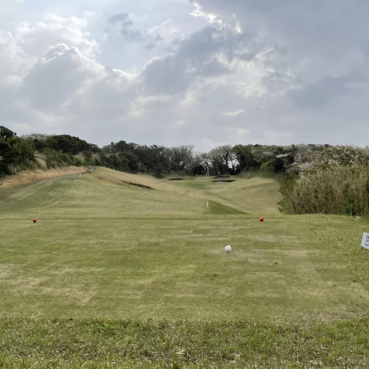 Izu Oshima Resort Golf Club in Oshima, Tokyo, Japan | GolfPass