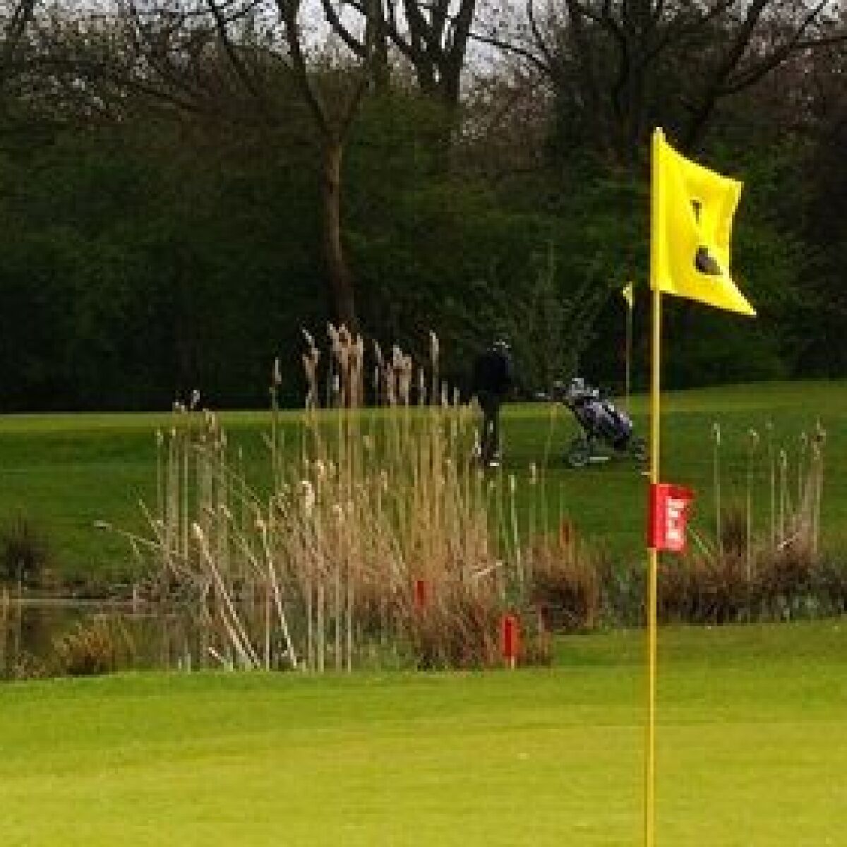 DSV Concordia Golf Club - Par-3 Course in Delft, South Holland ...