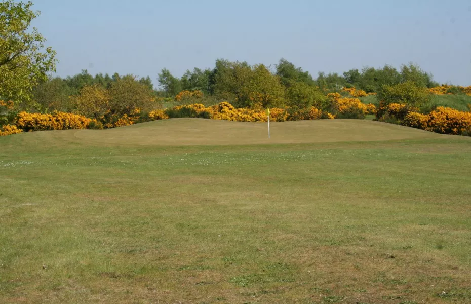 caddyshack mansfield