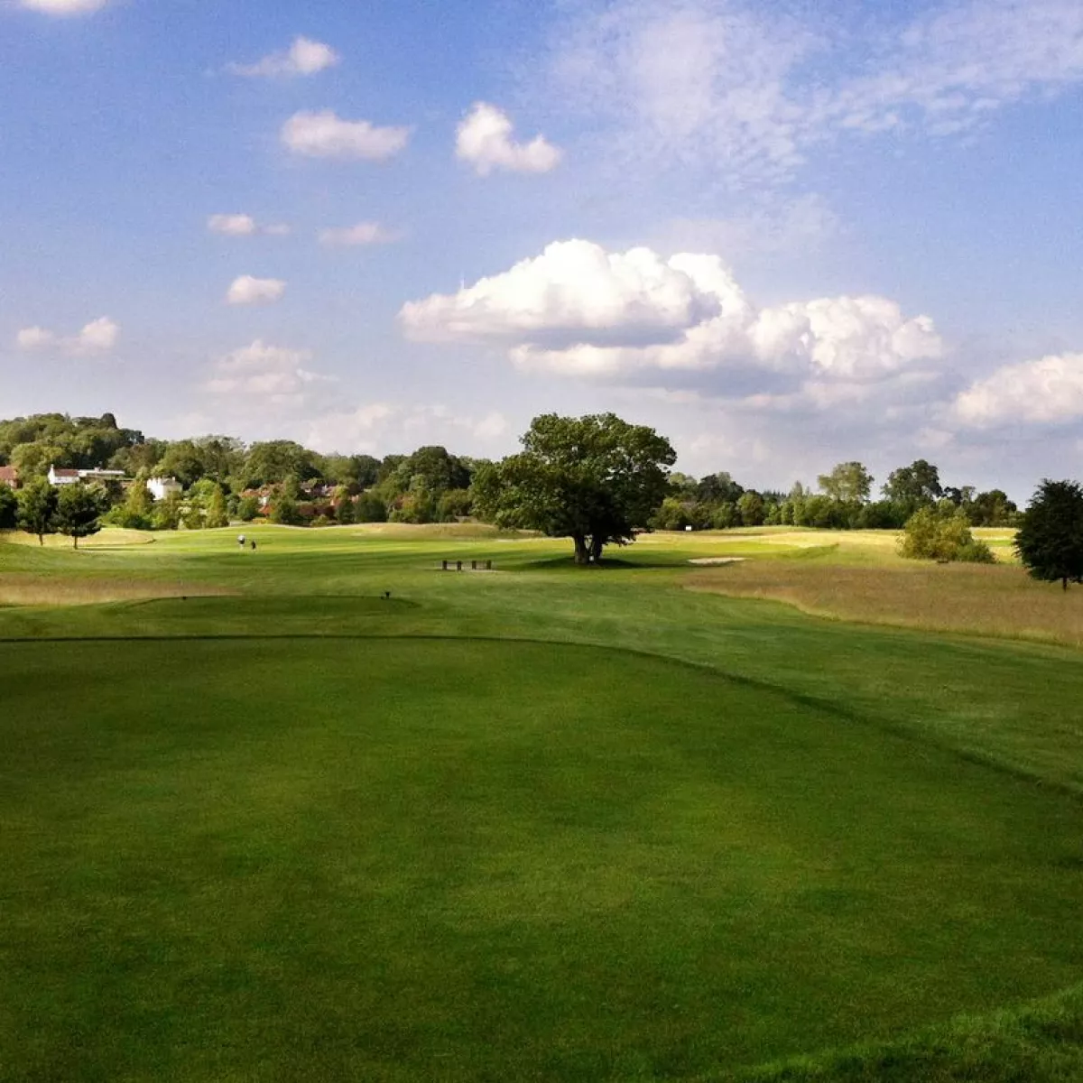 Castle Royle Golf & Country Club in Knowl Hill, Windsor and Maidenhead ...