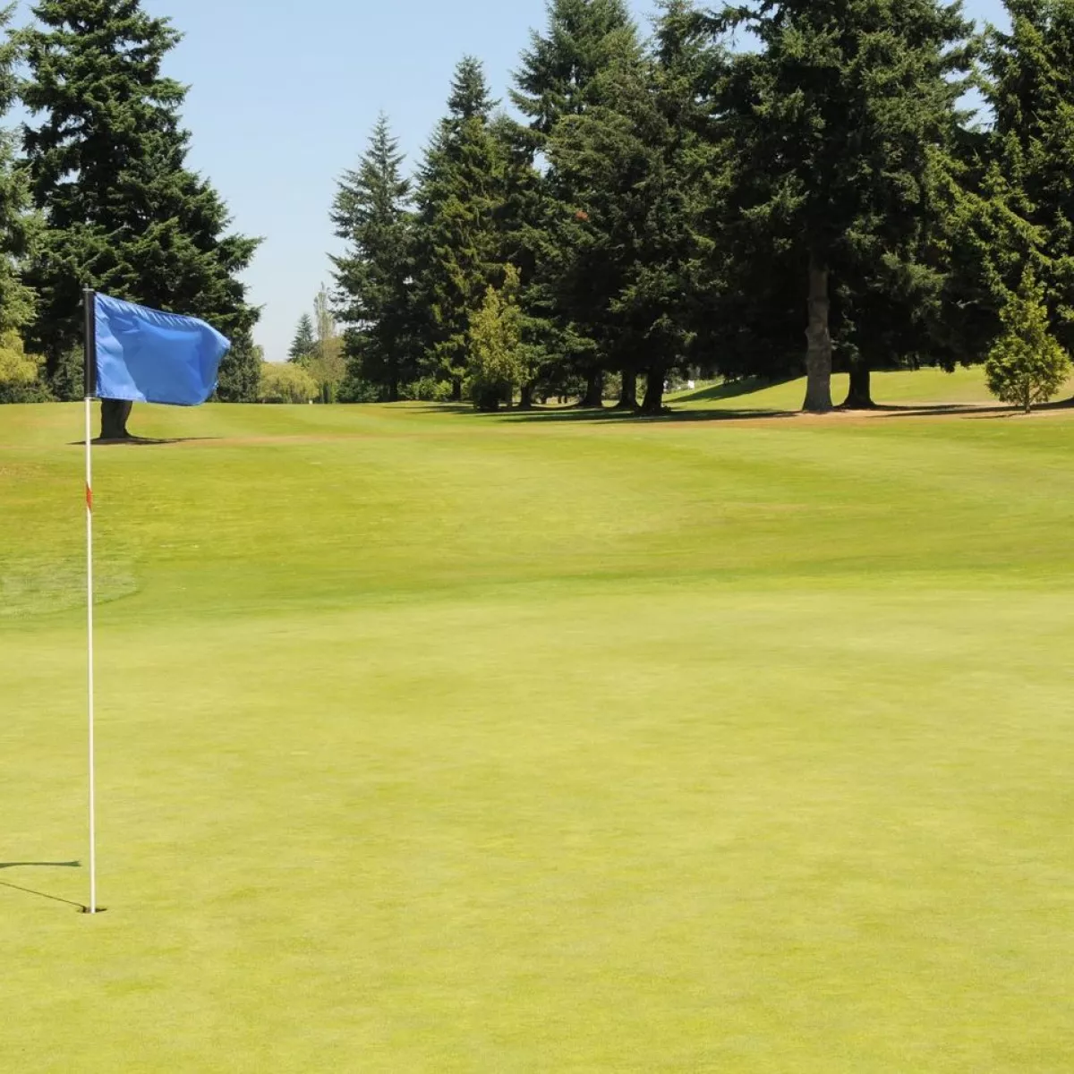 Allenmore Golf Course in Tacoma, Washington, USA | GolfPass