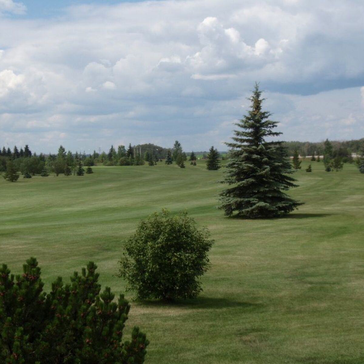Tofield Golf and Country Club in Tofield, Alberta, Canada | Golf Advisor