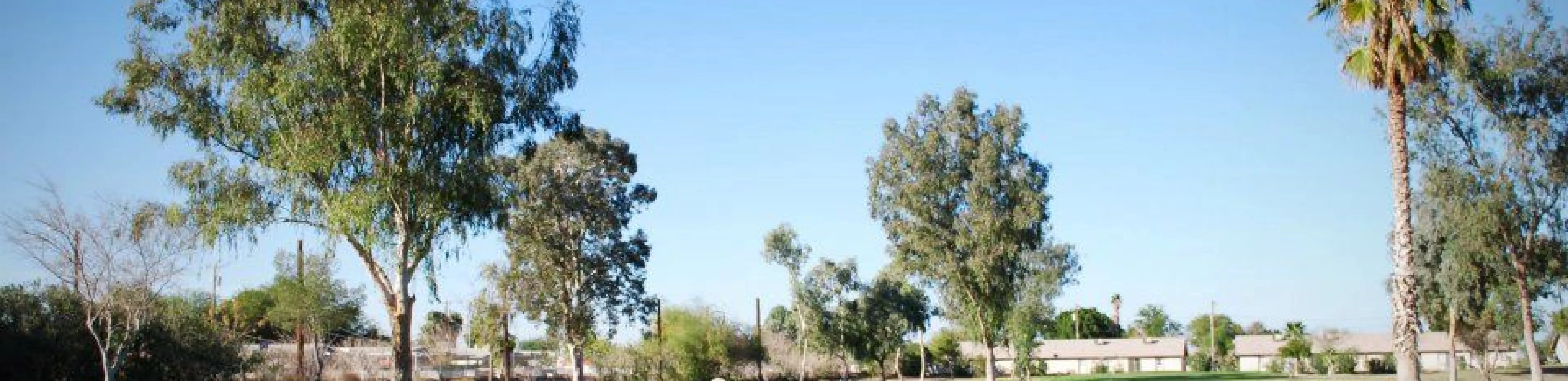 Cocopah RV & Golf Resort