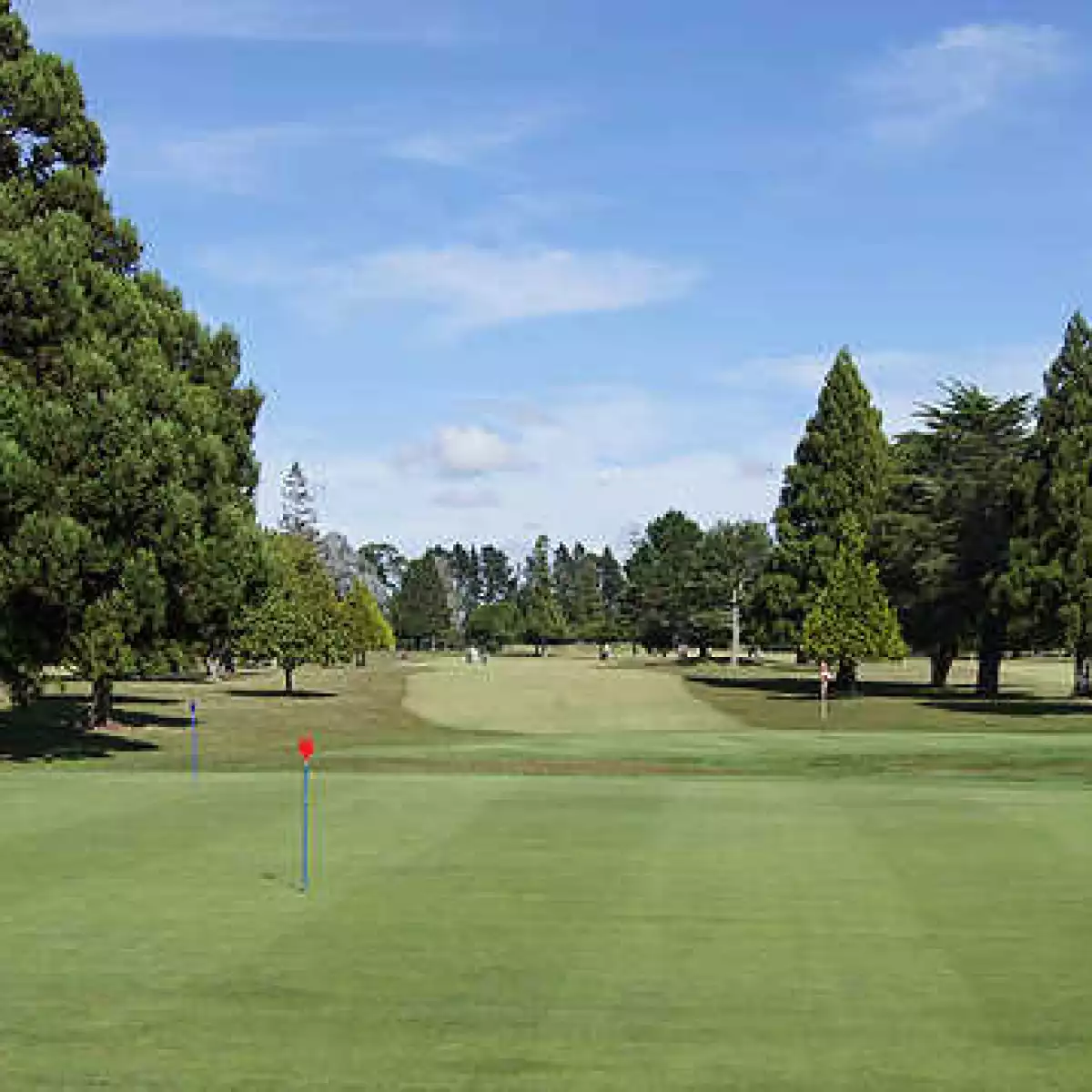 Bay of Islands Golf Club in Kerikeri, Northland, New Zealand | GolfPass