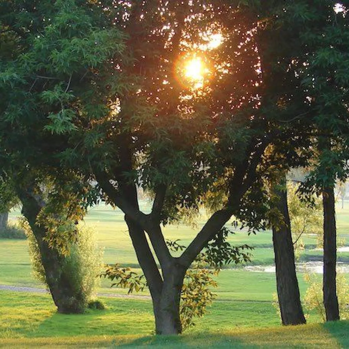 Tanner Valley Golf - 9 Hole in Syracuse, New York, USA | GolfPass