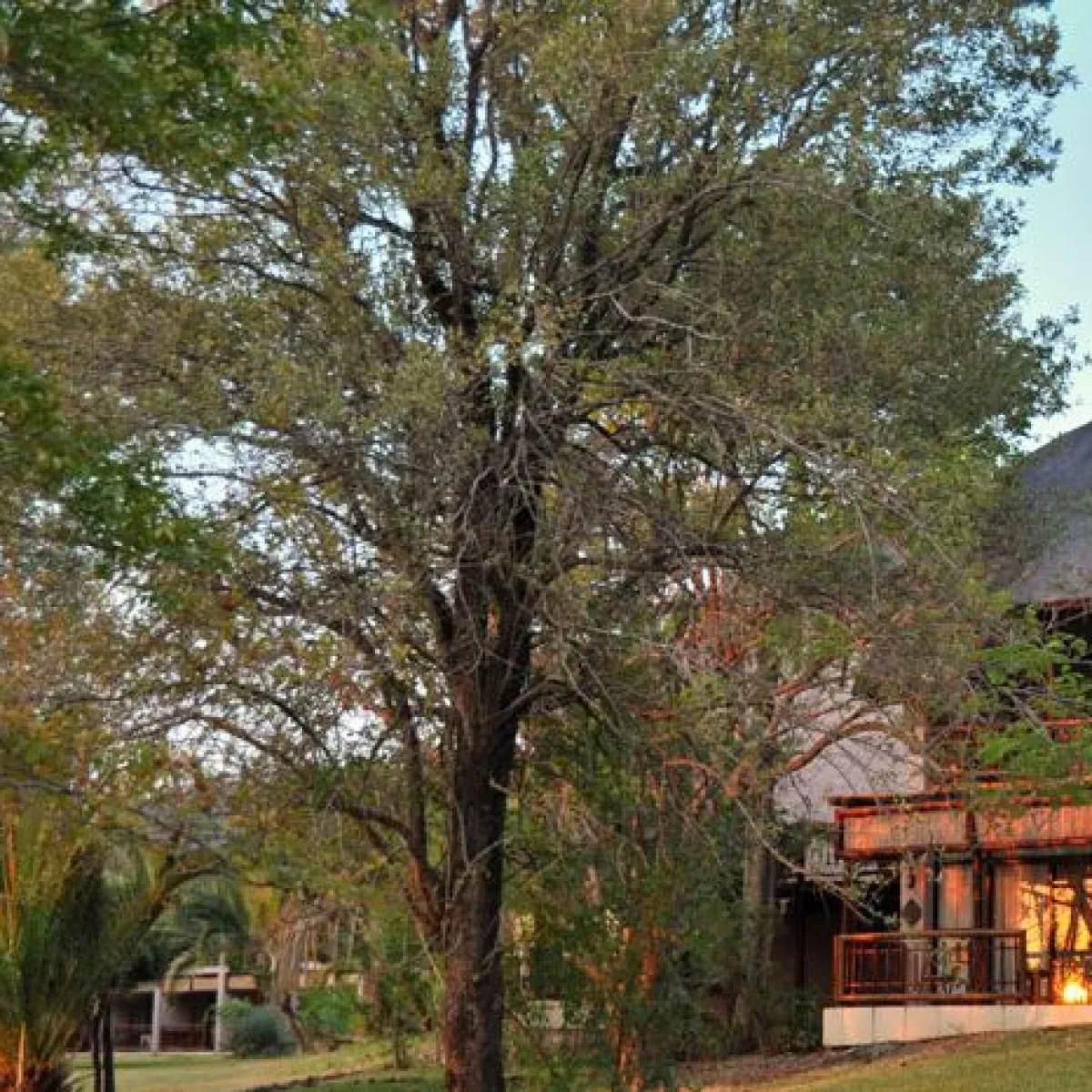 Cresta Mowana Safari Resort & Spa in Kasane, North-West, Botswana ...