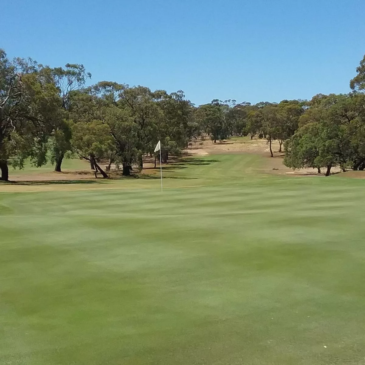 Tanunda Pines Golf Club in Rowland Flat, Wakefield, Australia | GolfPass