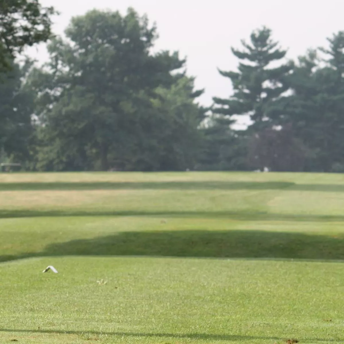 Newman Golf Course in Peoria, Illinois, USA | GolfPass