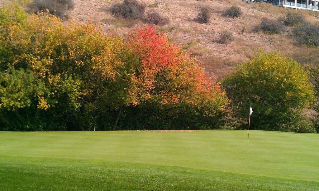 Spallumcheen Golf and Country Club - Executive in Vernon, British ...